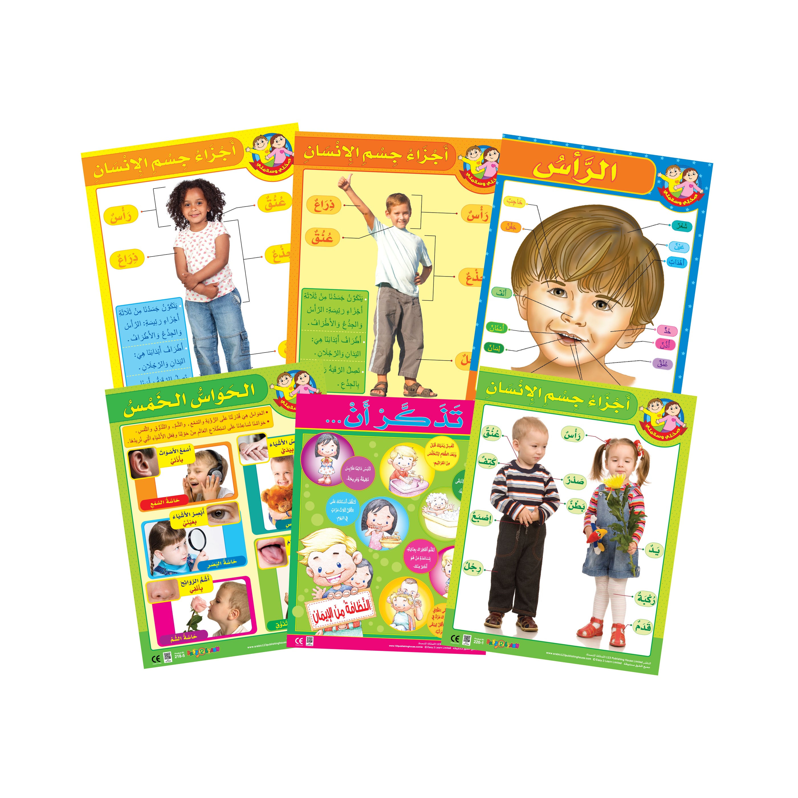 My Body & My 5 Senses (6 Wall Charts) - Educational Wall Chart Pack in