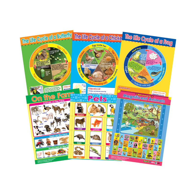 Animals & Life Cycles (6 Wall Charts) - Educational Wall Chart Pack in