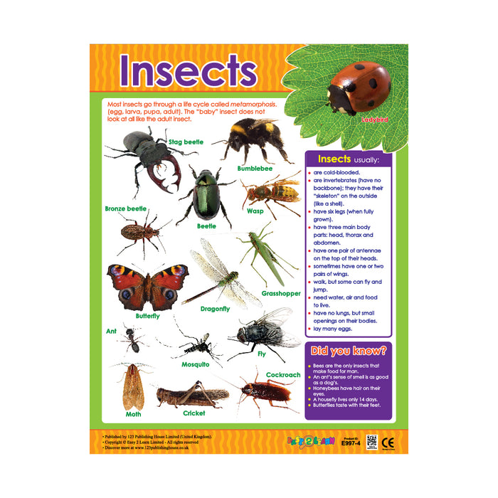 Animal Classification (6 Wall Charts) - Educational Wall Chart Pack in